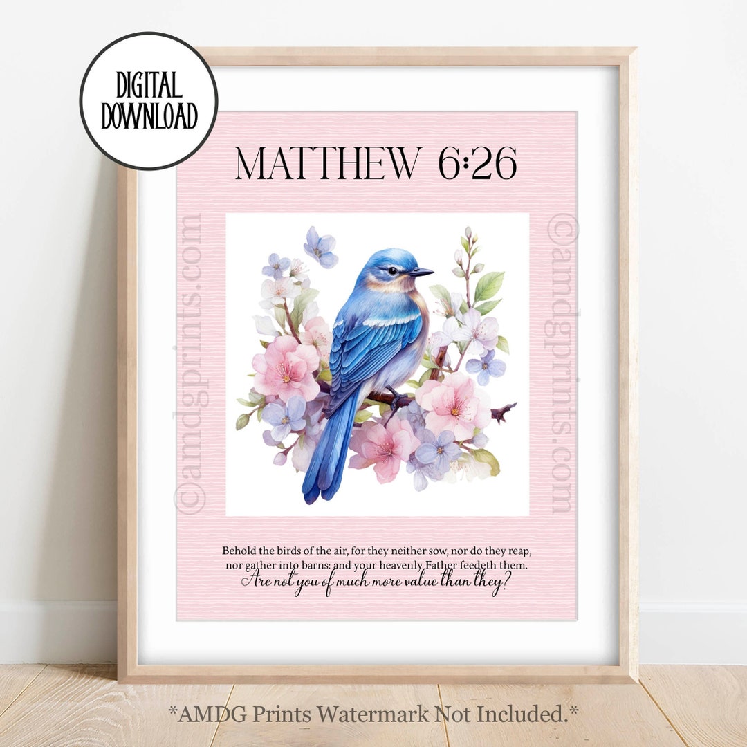Birds of the Air; Douay Rheims Bible Verse; Matthew 6 - Etsy