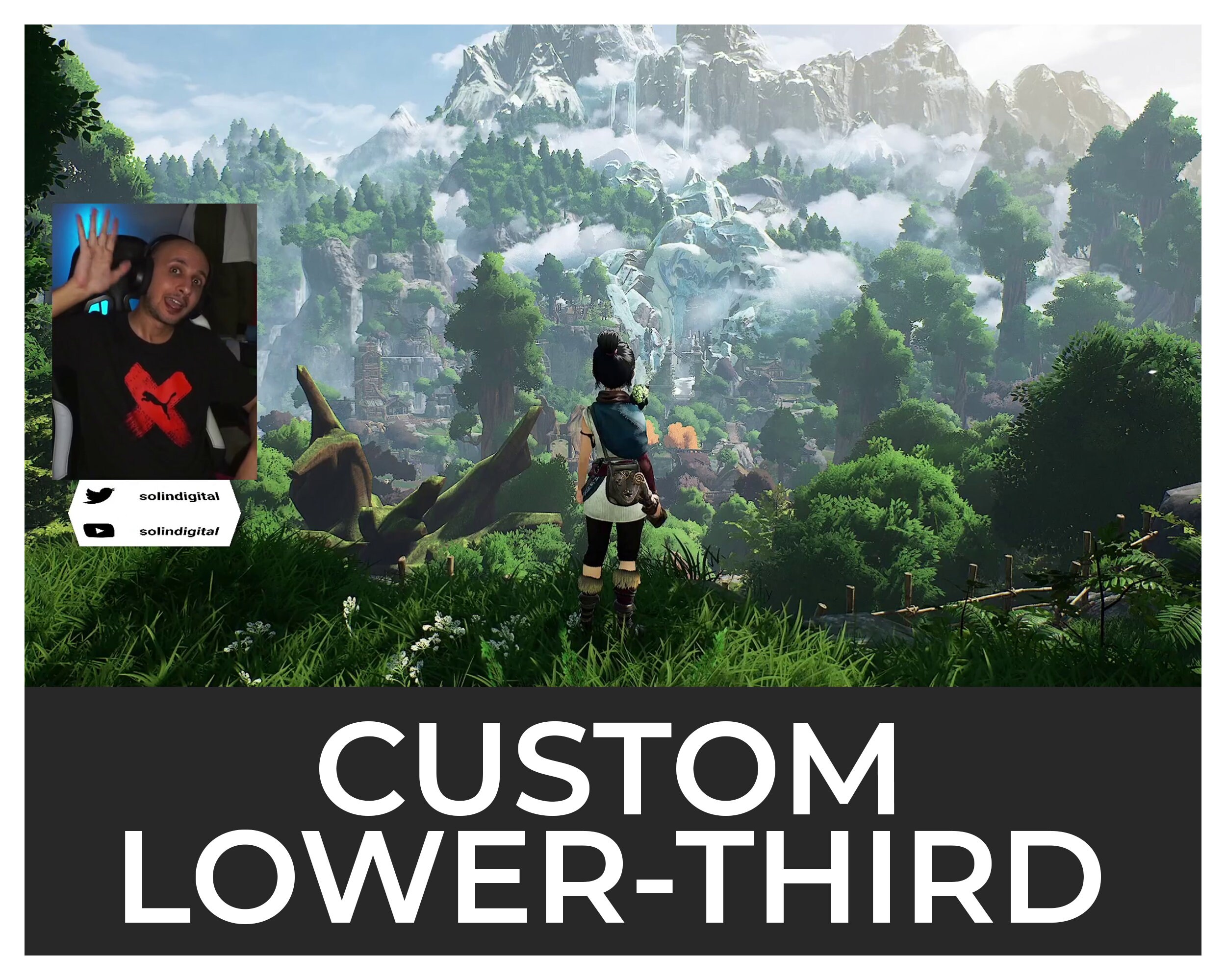 Custom Social Media Lower Thirds for Twitch Overlays Animated - Etsy