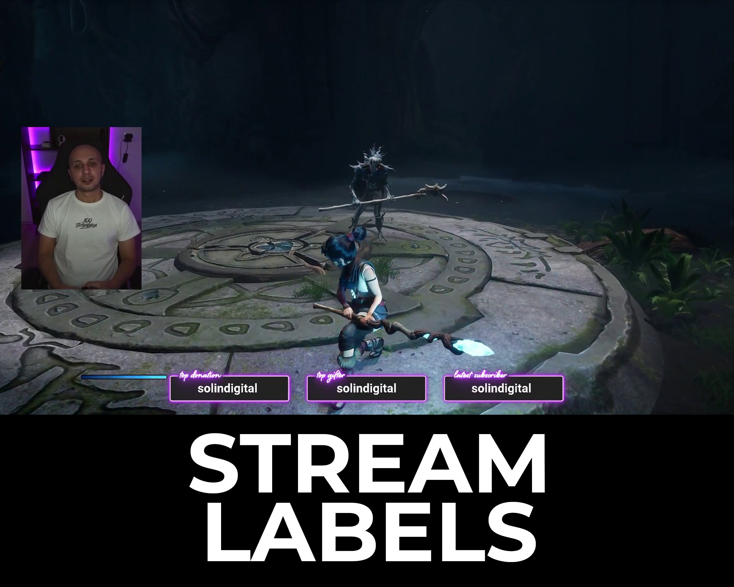 Animated Neon Stream Labels Twitch Labels Latest Follower - Etsy México