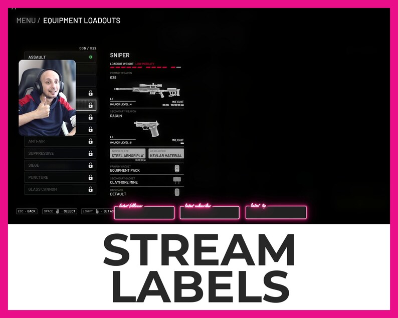 Animated Neon Stream Labels Twitch Labels Latest Follower - Etsy Ireland