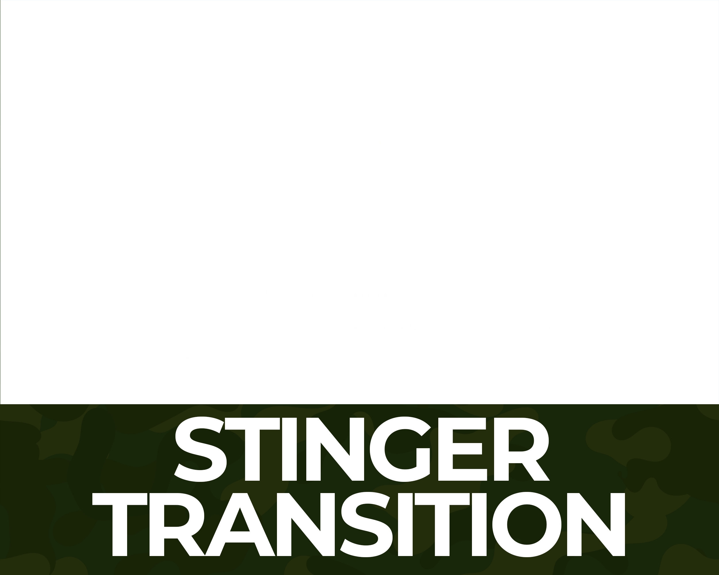 Flashbang Stinger Transition Animated Twitch Overlays Twitch - Etsy