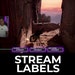 Animated Purple Saber Stream Labels, Twitch Labels, Latest Follower ...