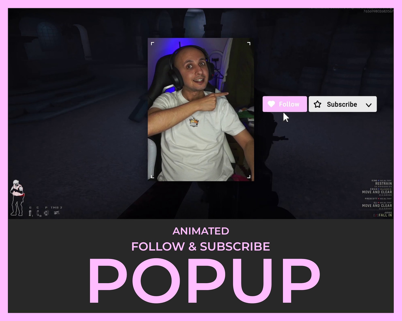 Animated Twitch Follow and Subscribe Pop-up Overlays, Cute Pink Theme ...