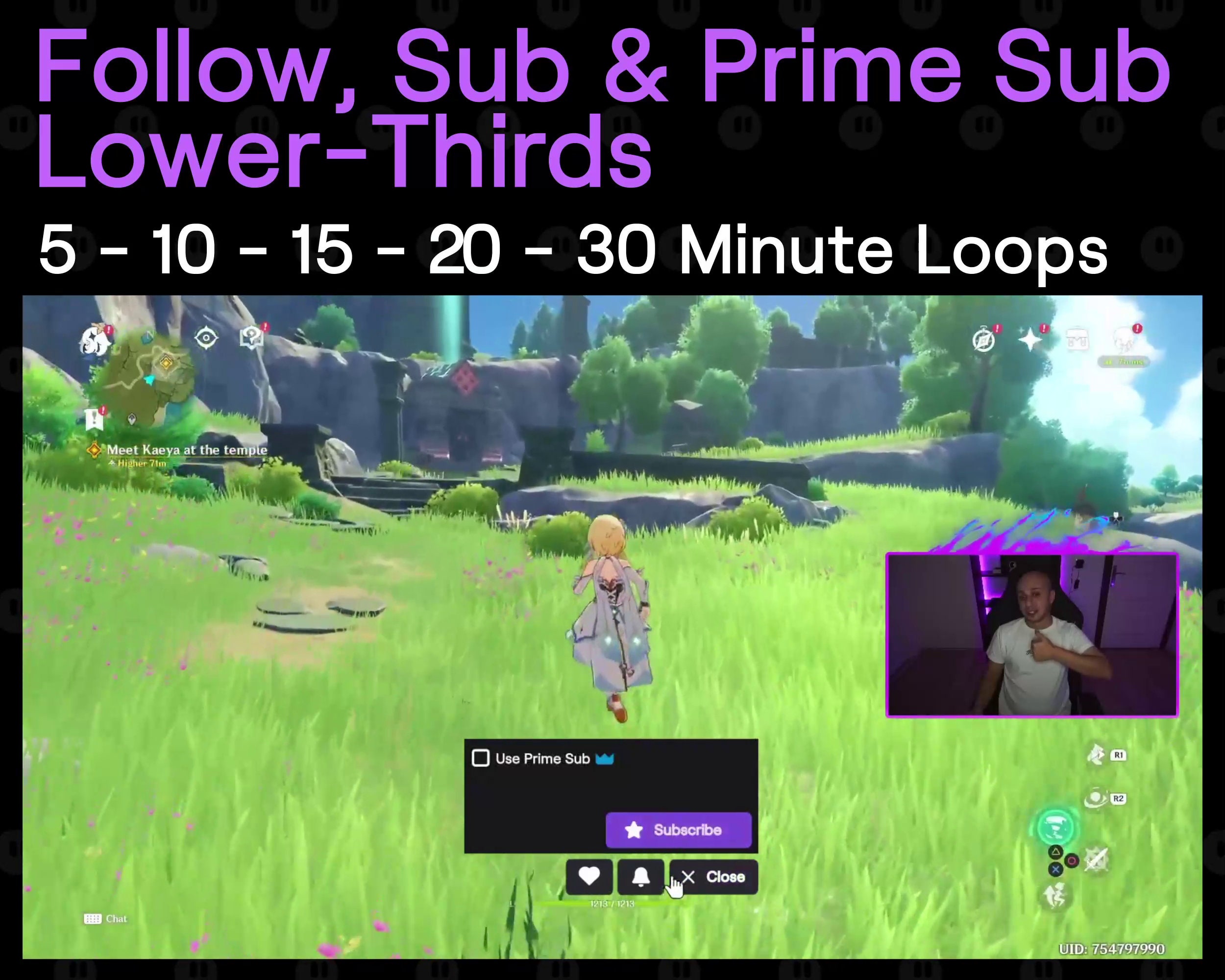 Twitch Follow, Subscribe and Prime Animated Pop-up Lower-third Overlays ...