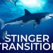 Sharks Stinger Transition, Animated Twitch Overlays, Twitch Transitions ...