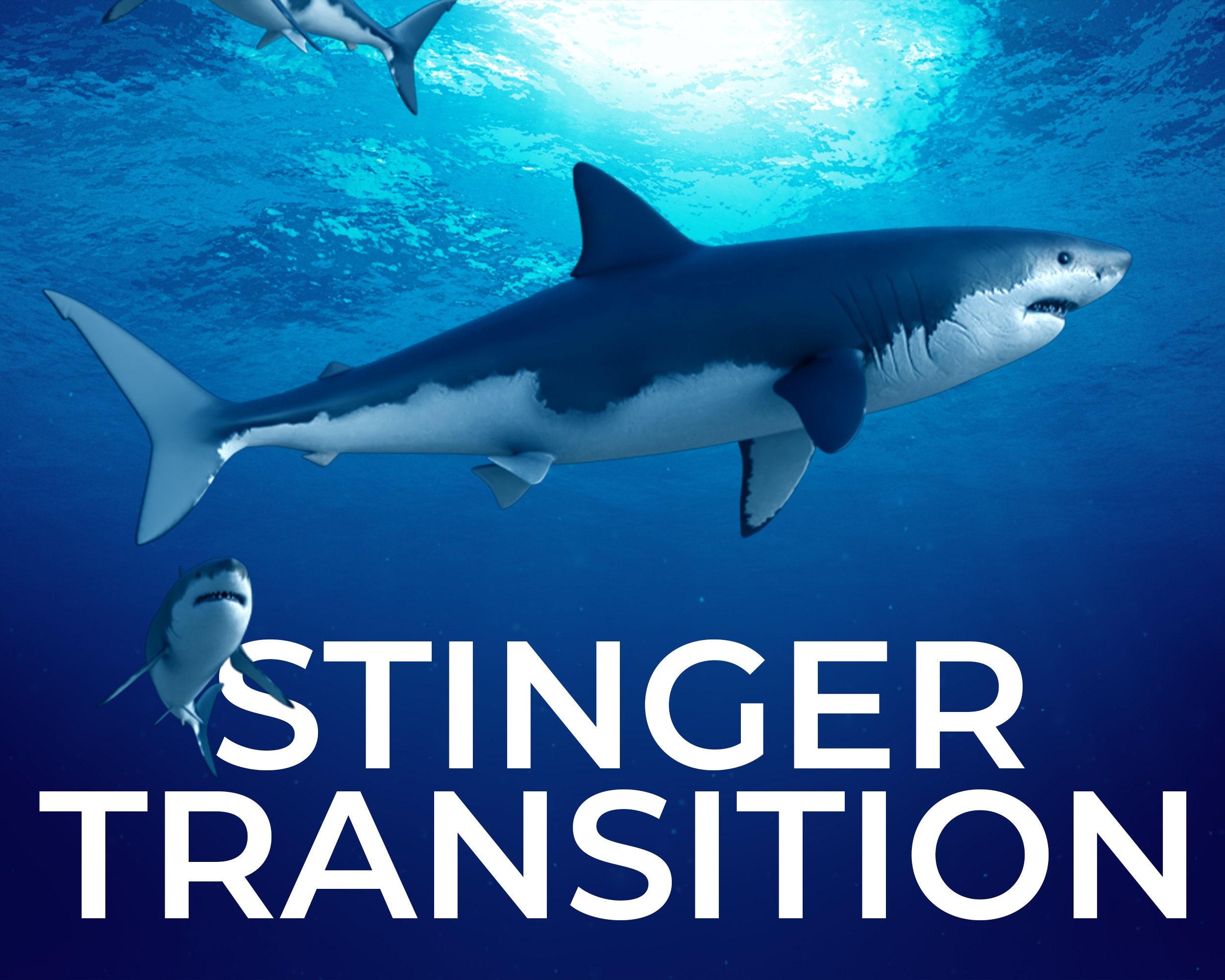 Sharks Stinger Transition, Animated Twitch Overlays, Twitch Transitions ...