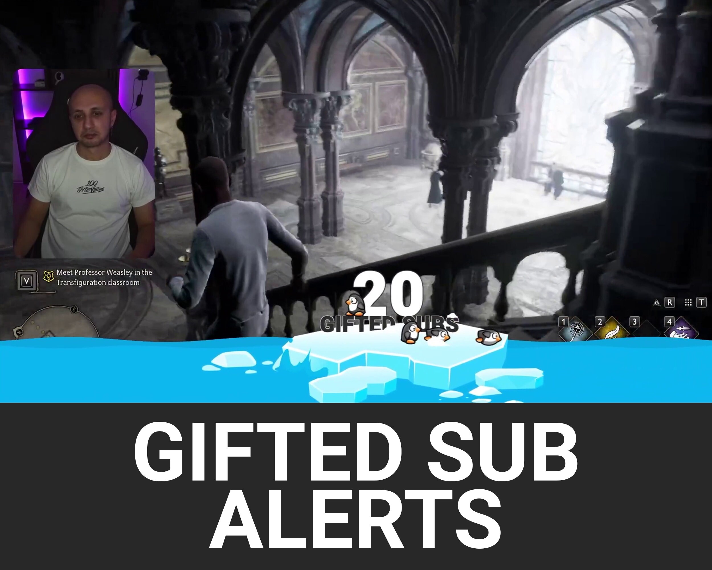 Penguin Gifted Sub Alerts for Twitch Streams, Funny Cute Bird Animal ...