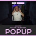 Animated Twitch Follow and Subscribe Pop-up Overlays, Cute Pink Theme ...