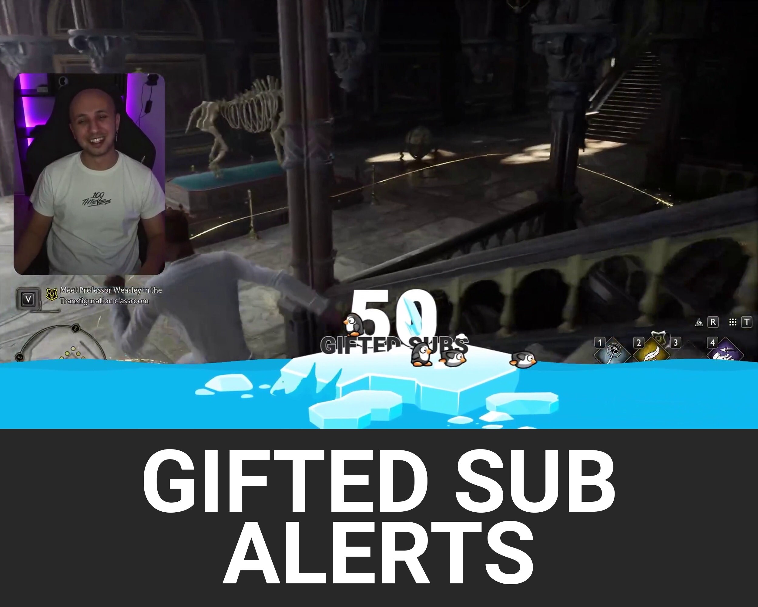 Penguin Gifted Sub Alerts for Twitch Streams Funny Cute Bird - Etsy