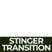 Flashbang Stinger Transition Animated Twitch Overlays Twitch - Etsy