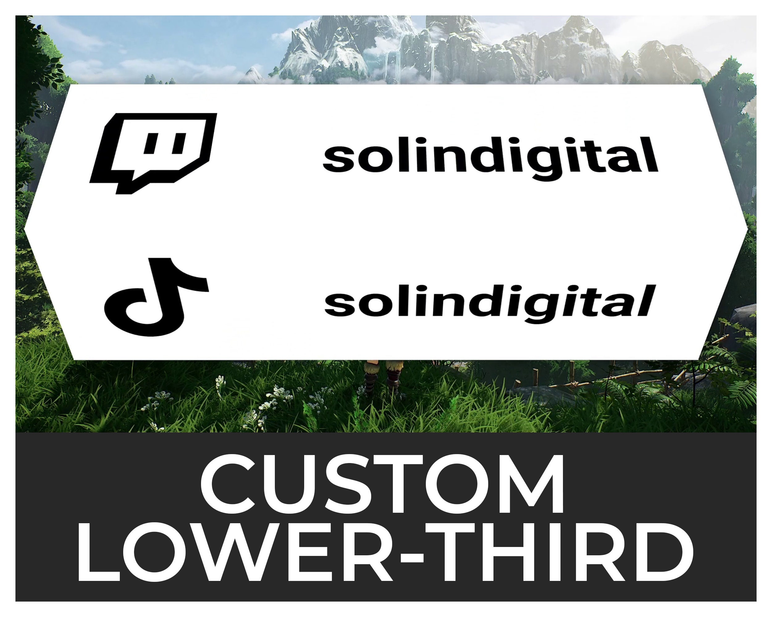 Custom Social Media Lower Thirds for Twitch Overlays Animated - Etsy