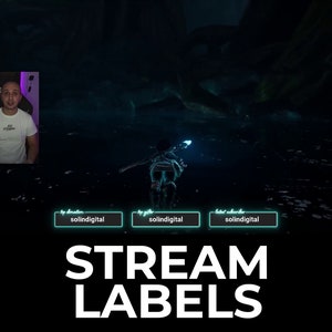 Animated Neon Stream Labels, Twitch Labels, Latest Follower Subscriber ...