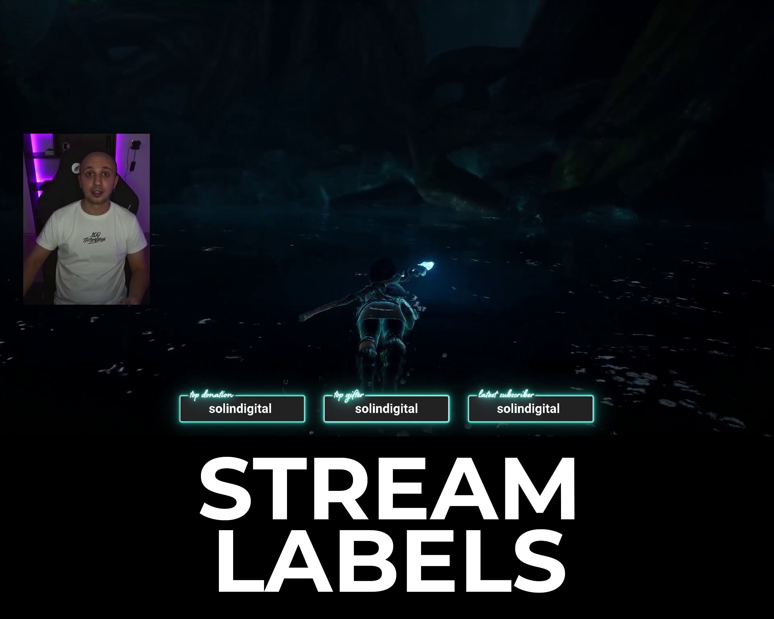 Animated Neon Stream Labels Twitch Labels Latest Follower - Etsy