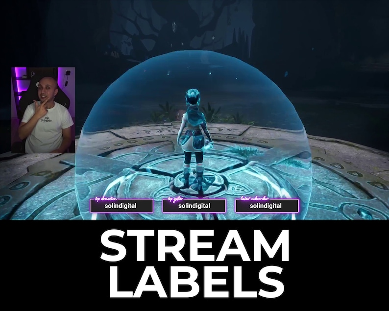 Animated Neon Stream Labels, Twitch Labels, Latest Follower Subscriber ...