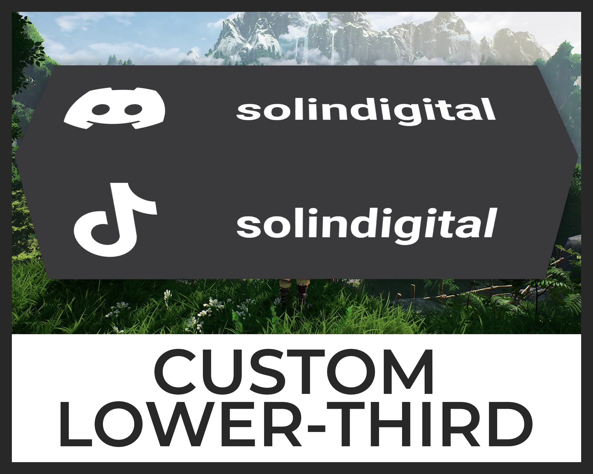 Custom Social Media Lower Thirds for Twitch Overlays Animated - Etsy