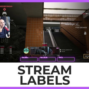Animated Neon Stream Labels Twitch Labels Latest Follower - Etsy