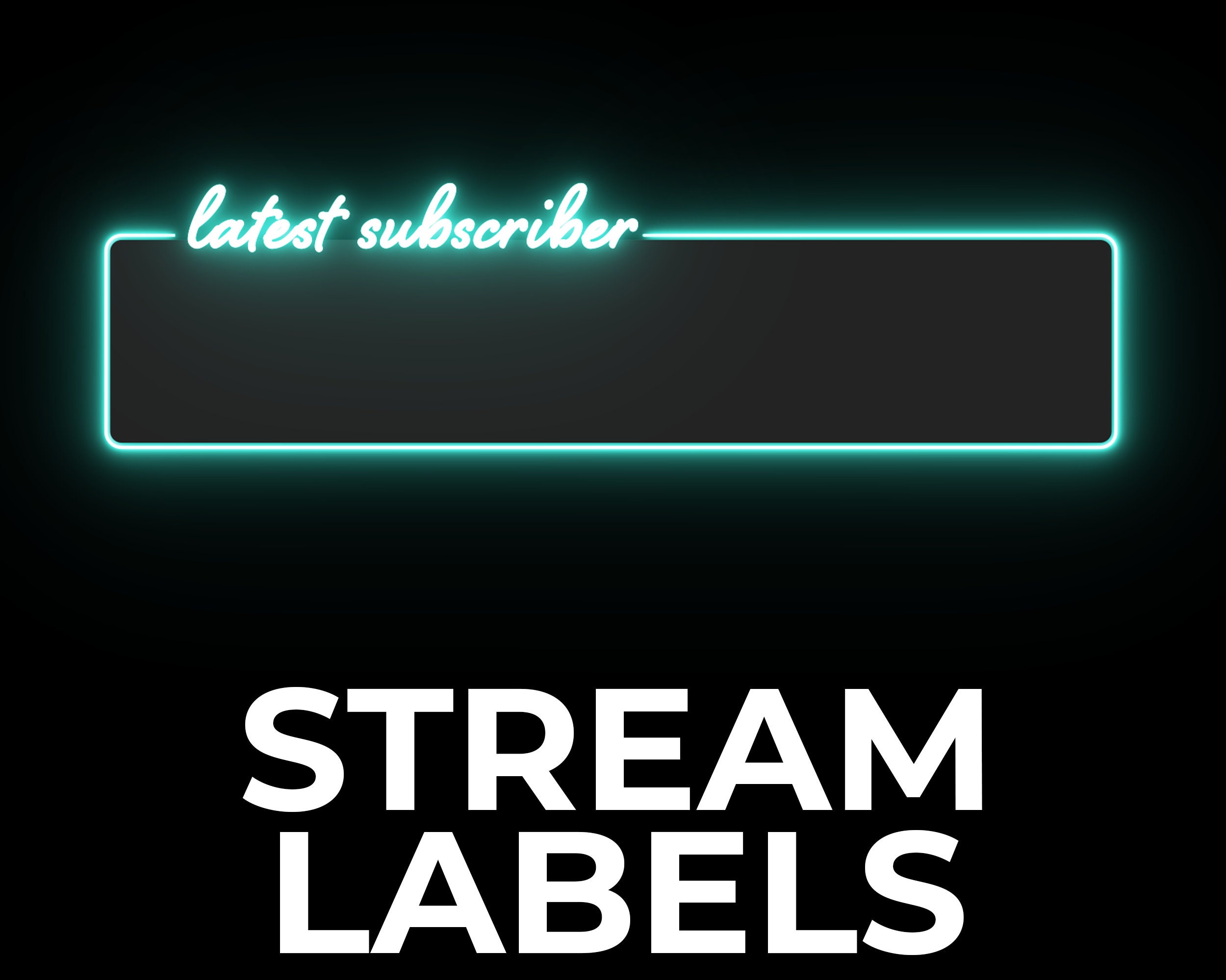 Animated Neon Stream Labels Twitch Labels Latest Follower - Etsy