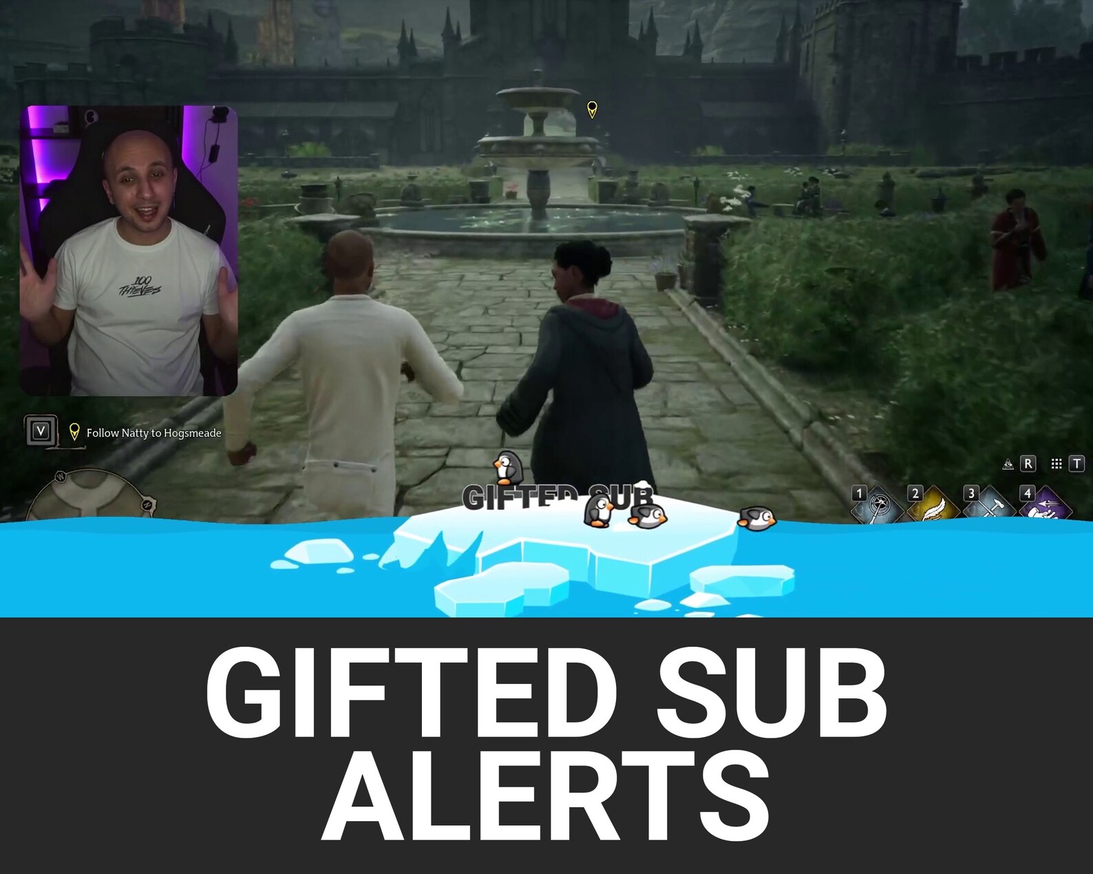 Penguin Gifted Sub Alerts for Twitch Streams, Funny Cute Bird Animal ...