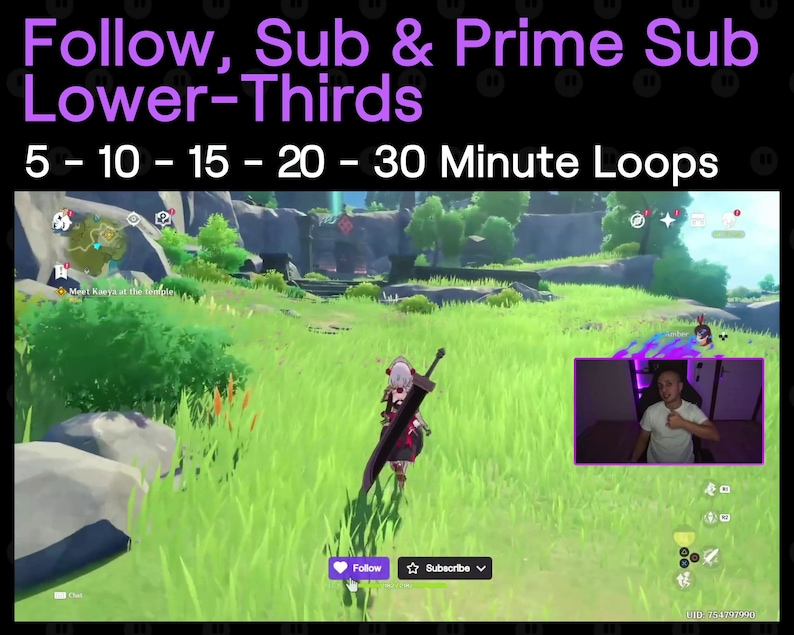 Twitch Follow, Subscribe and Prime Animated Pop-up Lower-third Overlays ...