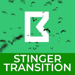 Bats Stinger Transition, Animated Twitch Overlays, Spooky Halloween ...