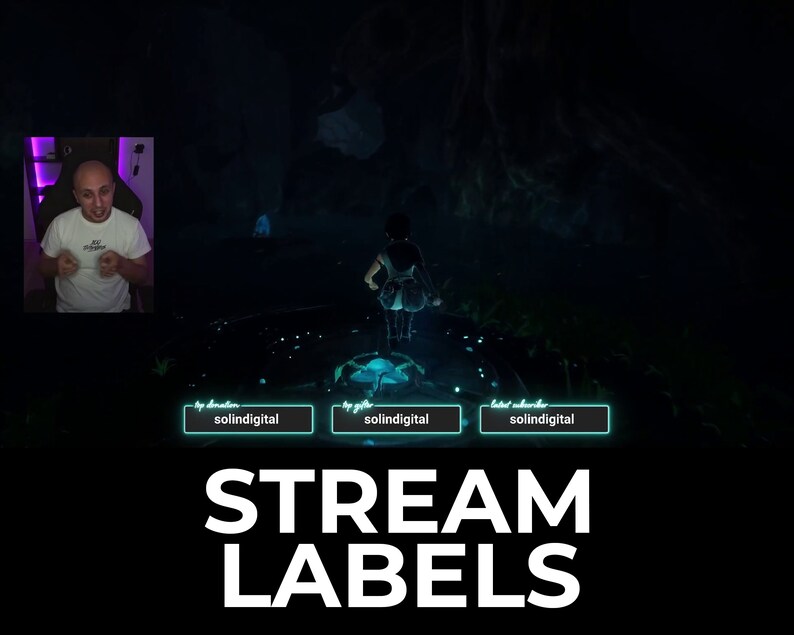 Animated Neon Stream Labels Twitch Labels Latest Follower - Etsy