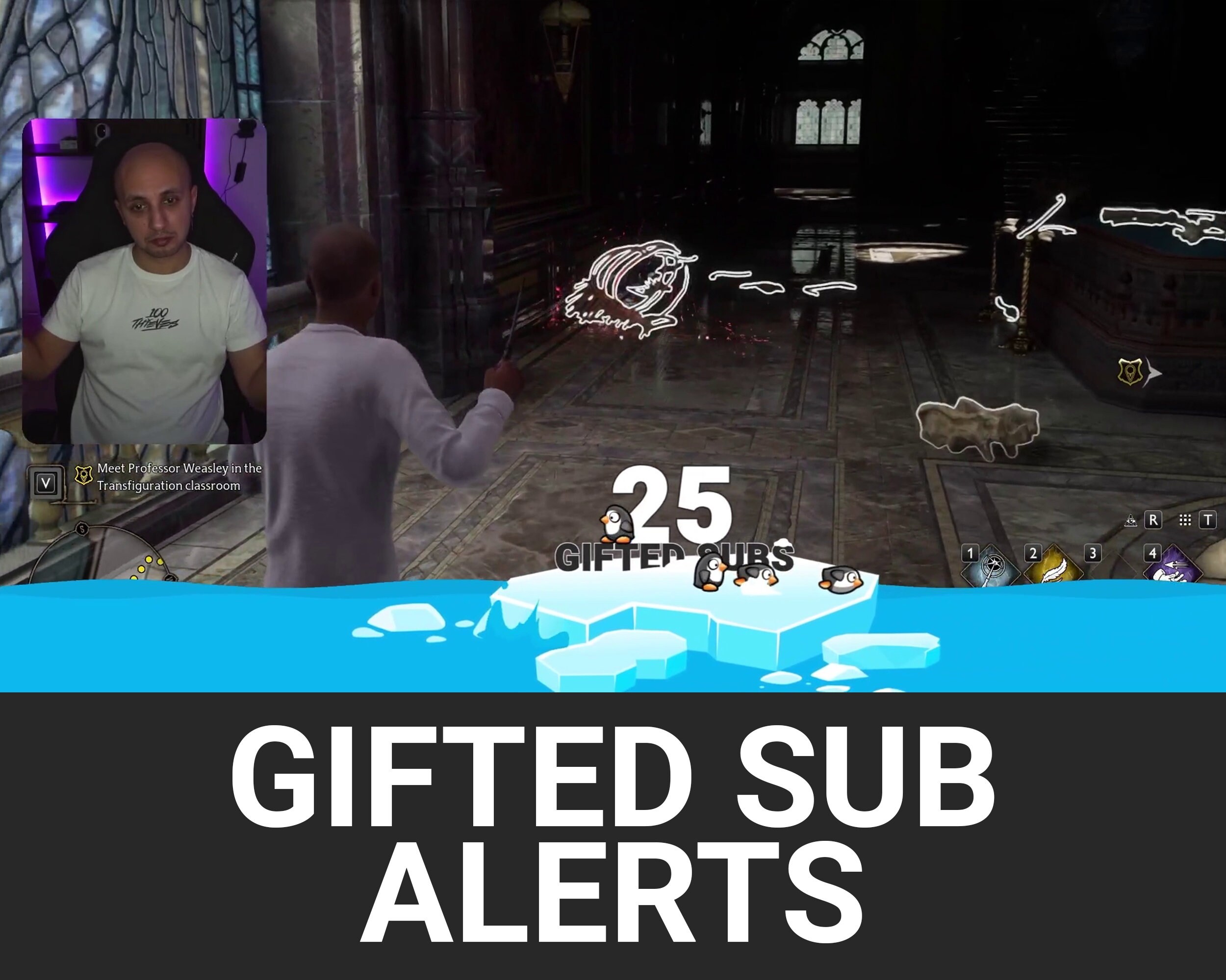 Penguin Gifted Sub Alerts for Twitch Streams Funny Cute Bird - Etsy