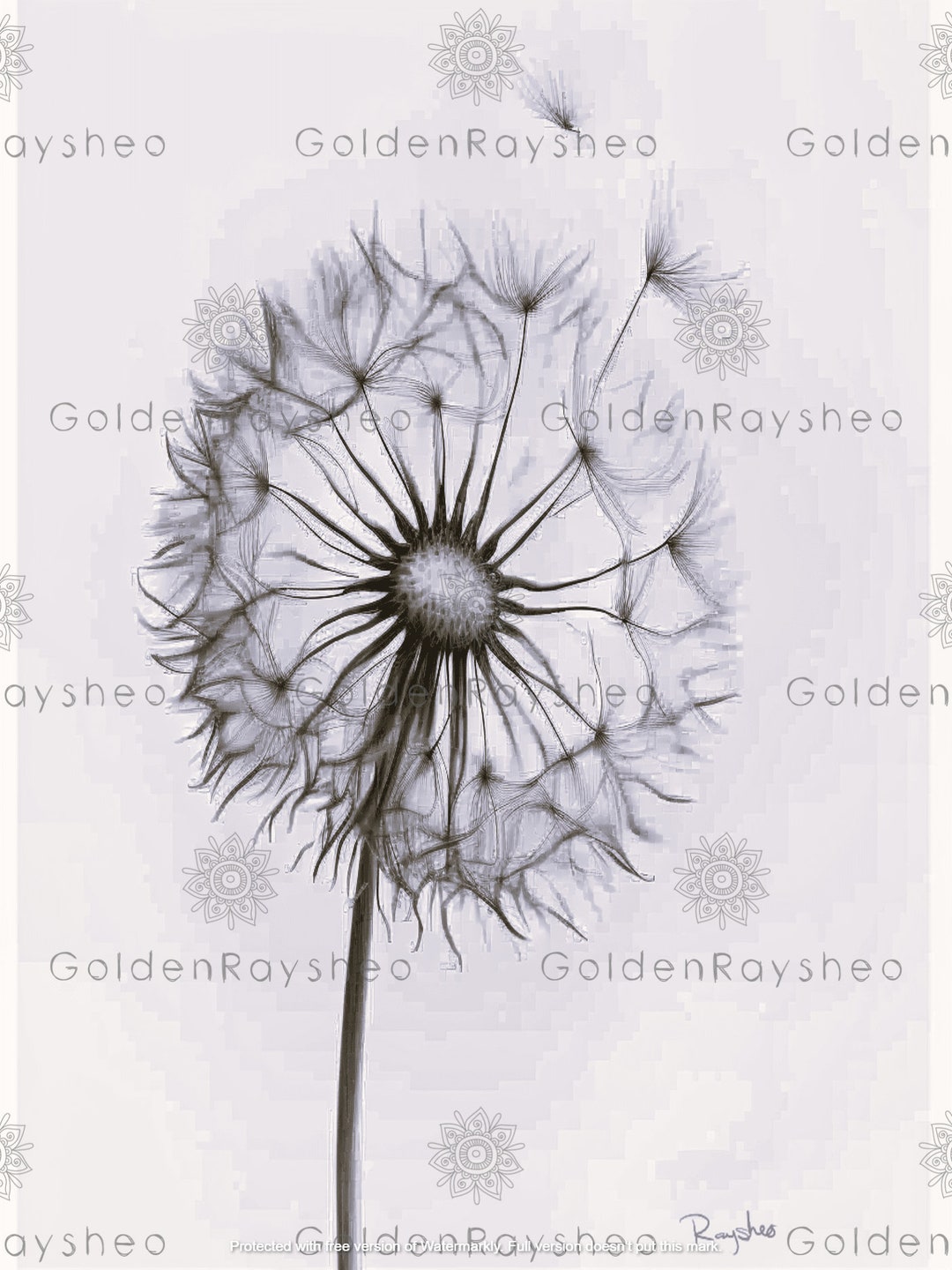 Simple Wish- Supernote Sleep Screen Saver - Etsy