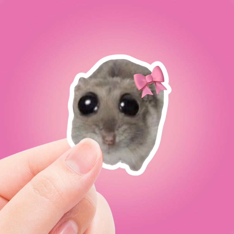 Sad Hamster With a Bow - Etsy
