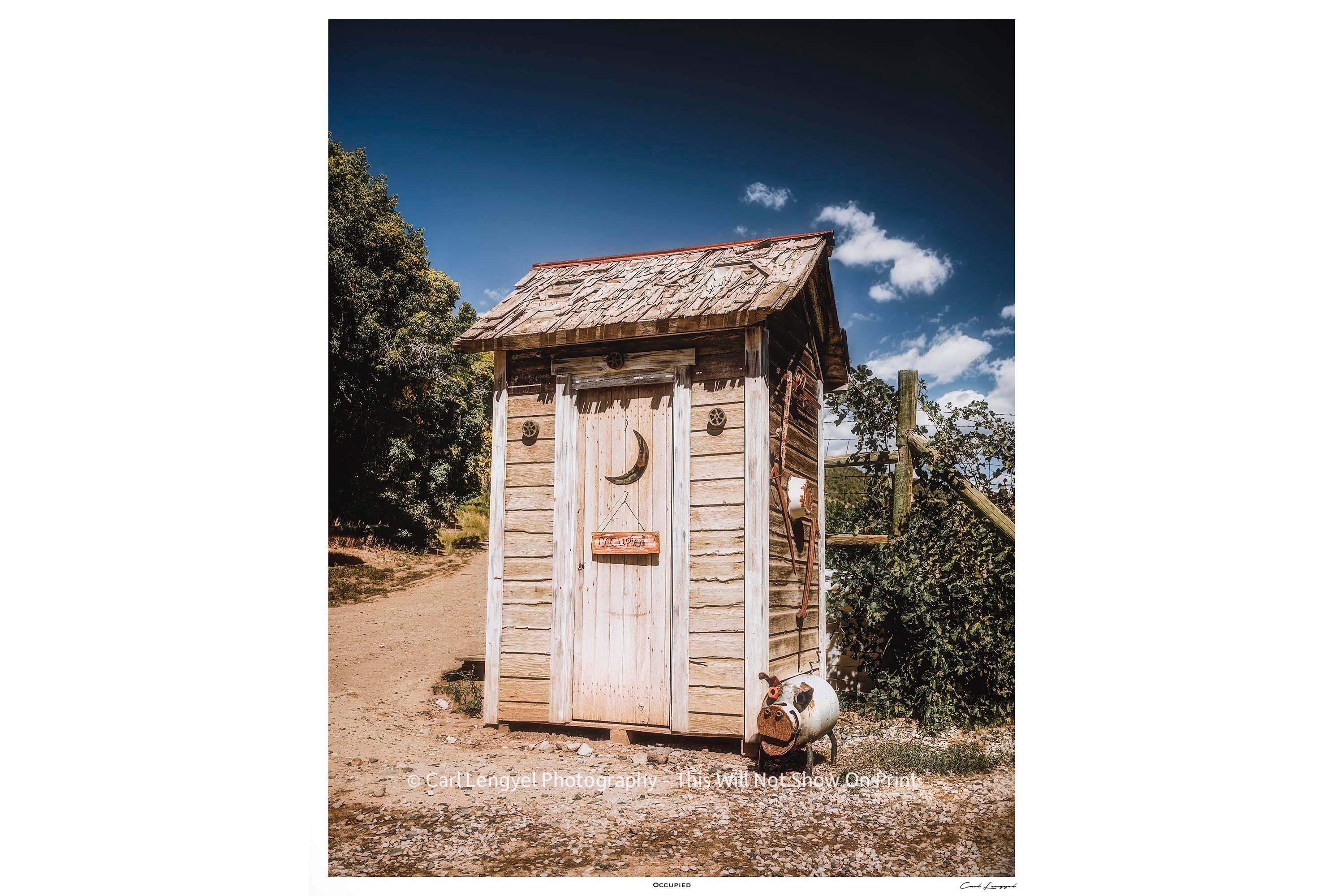 Occupied, A Rustic Outhouse Photo With A Pig Sculpture, Bathroom Wall ...