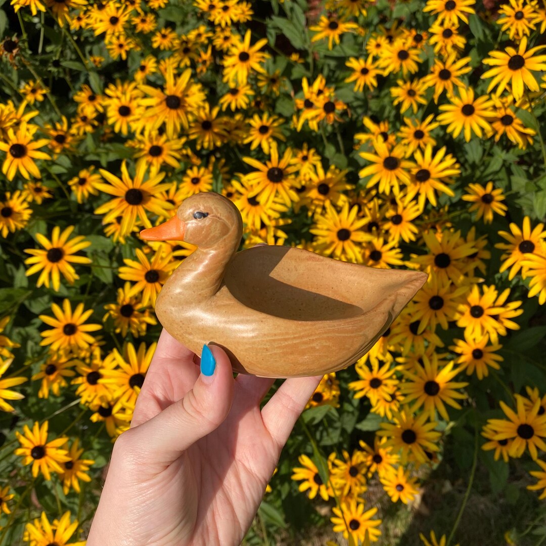 Duck Dish | Swan Dish | Cute Trinkets | Jewlery Dish | Soap Dish | Ring ...