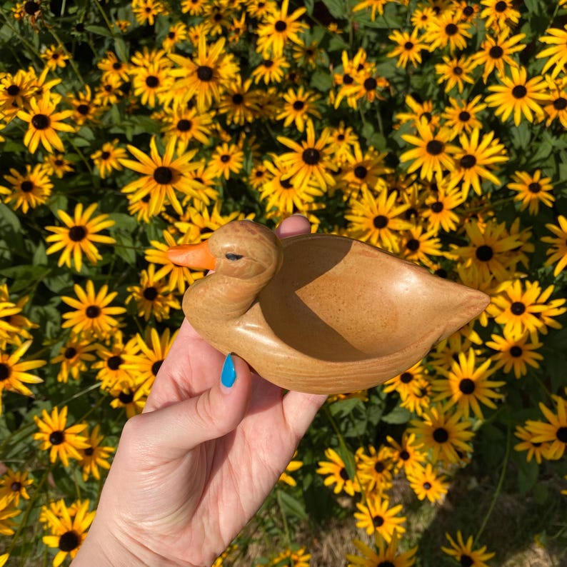 Piatto a forma di anatra / Piatto a forma di cigno / Ciondoli carini ...