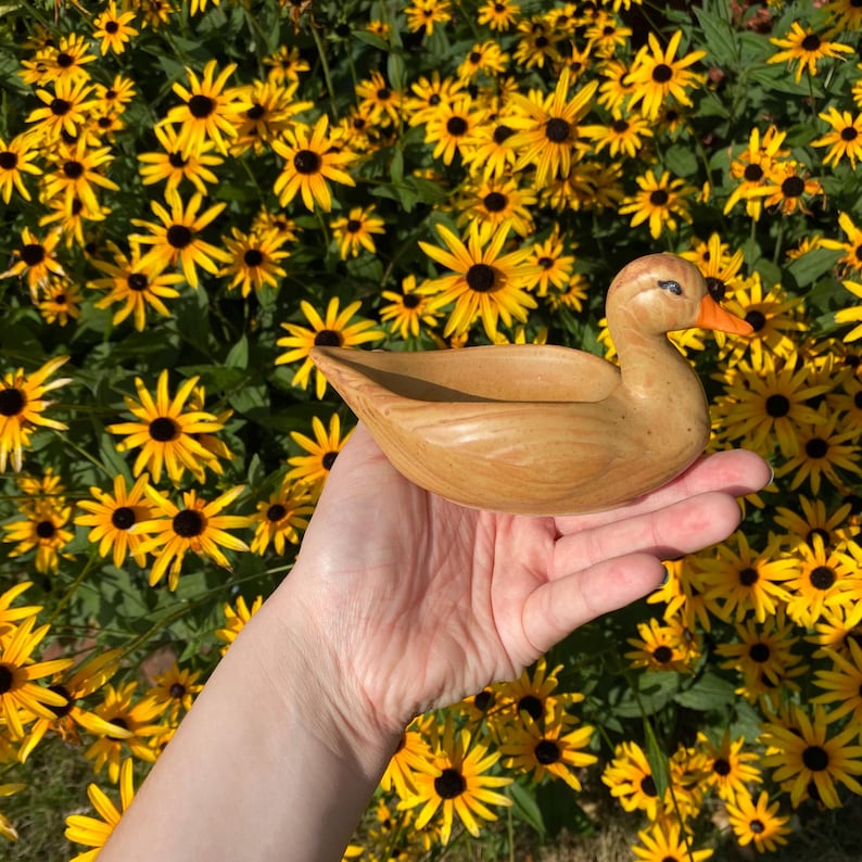 Piatto a forma di anatra / Piatto a forma di cigno / Ciondoli carini ...