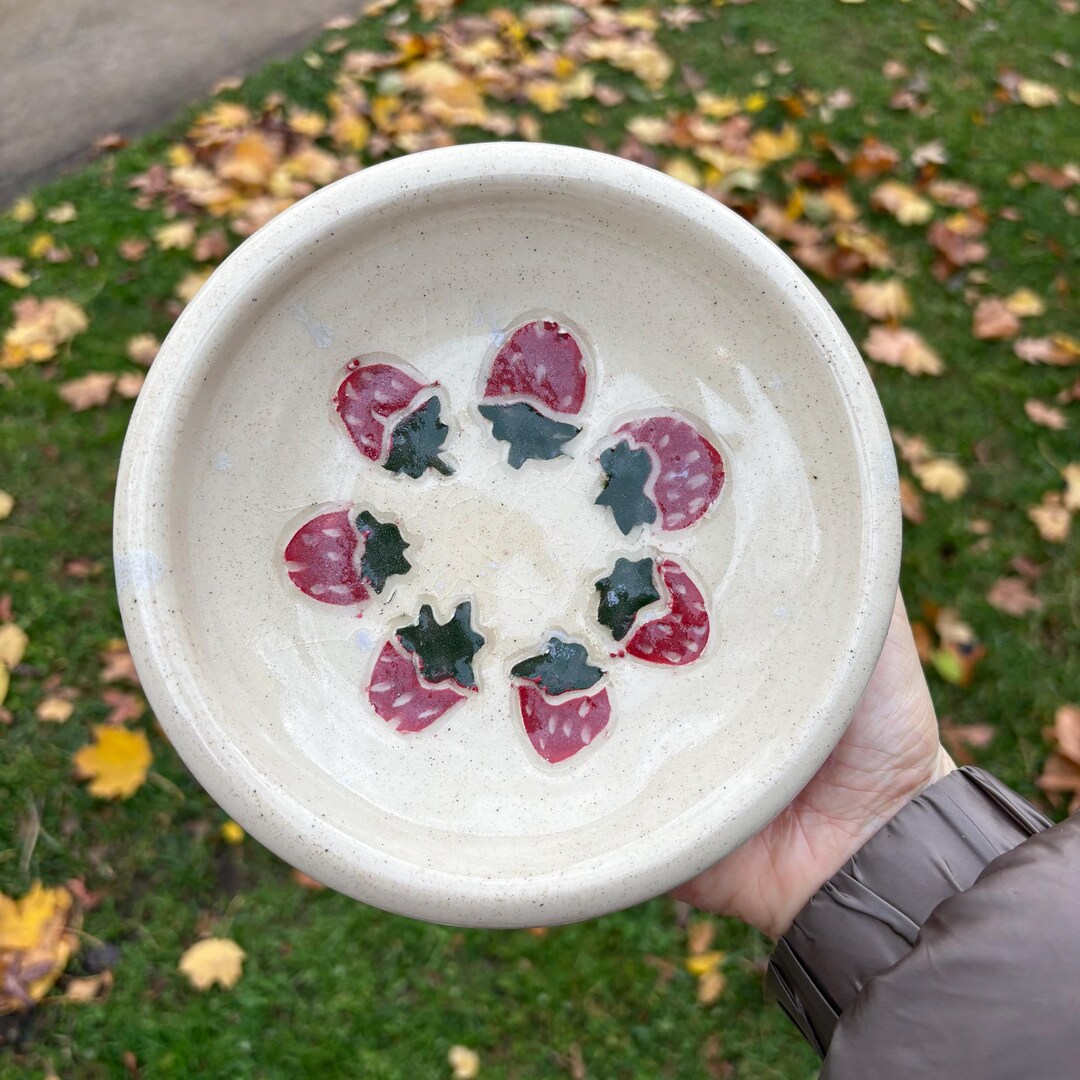 Strawbery Bubble Plates | Trendy Pottery Plates - Etsy