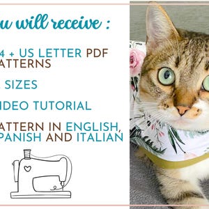 Cat Clothes Pattern | DIY Cat Tank Top Sleevless | Easy Cat Clothes for ...