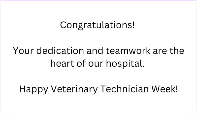 Scavenger Hunt for Veterinary Staff - Etsy
