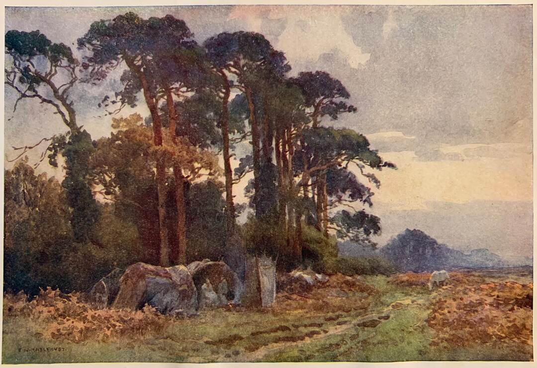 New Forest Gypsies at Coldharbour Vintage Print by E W Haslehust ...