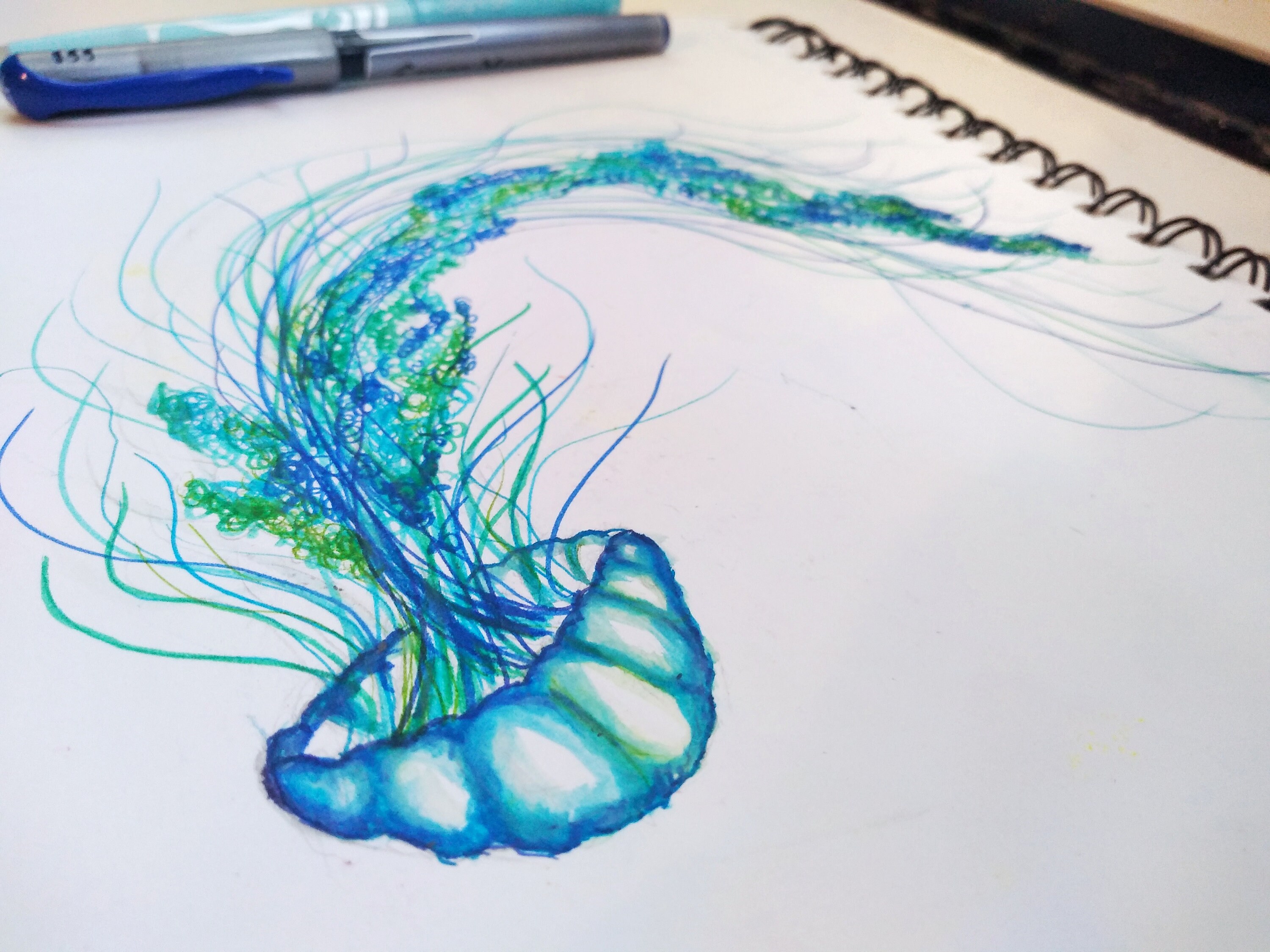 Jellyfish Watercolor and Ink Painting - Etsy