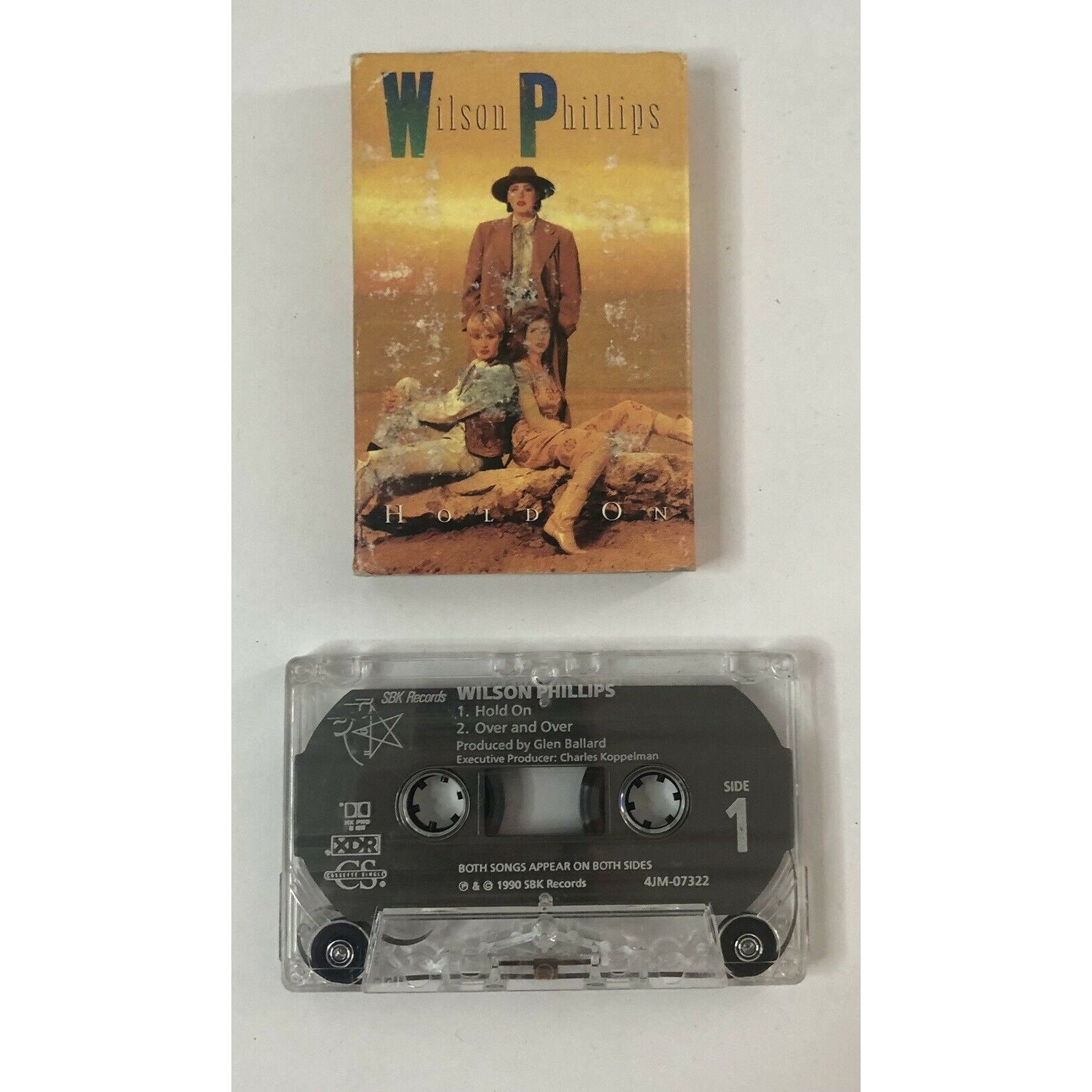 Hold On Wilson Phillips Meme