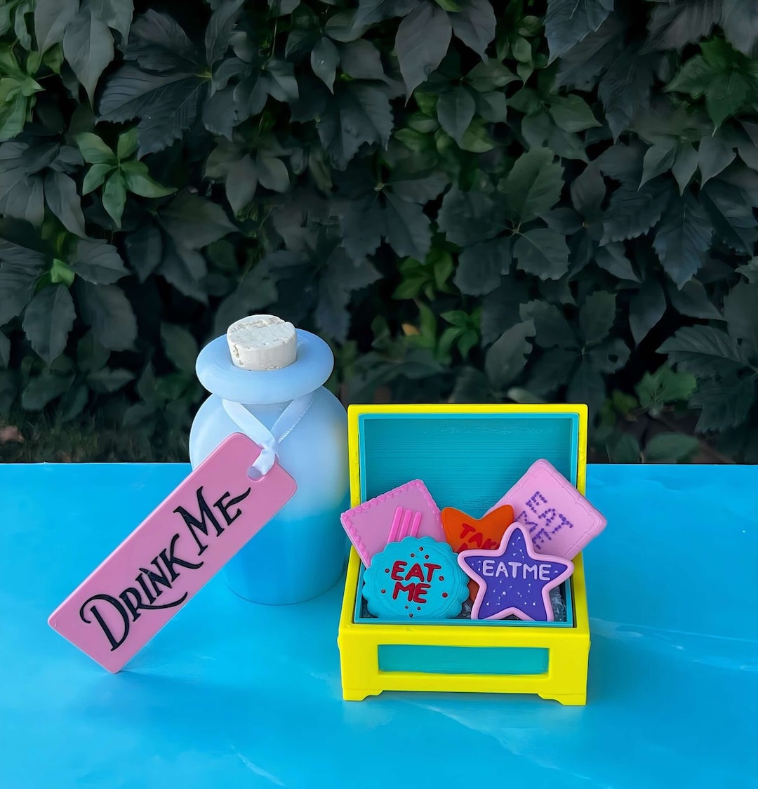 Alice in Wonderland Cookie Chest, Set of Cookies and Drink Me Bottle - Etsy