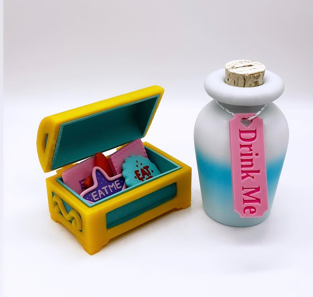 Alice in Wonderland Cookie Chest Set of Cookies and Drink Me - Etsy