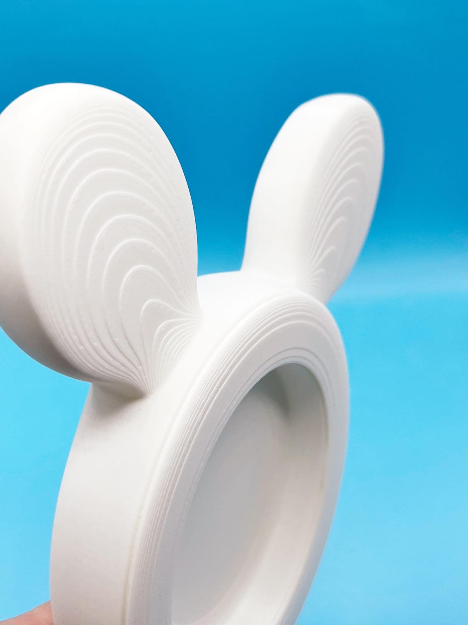 Blank Rabbit Frame disclaimer Artwork Not Included - Etsy