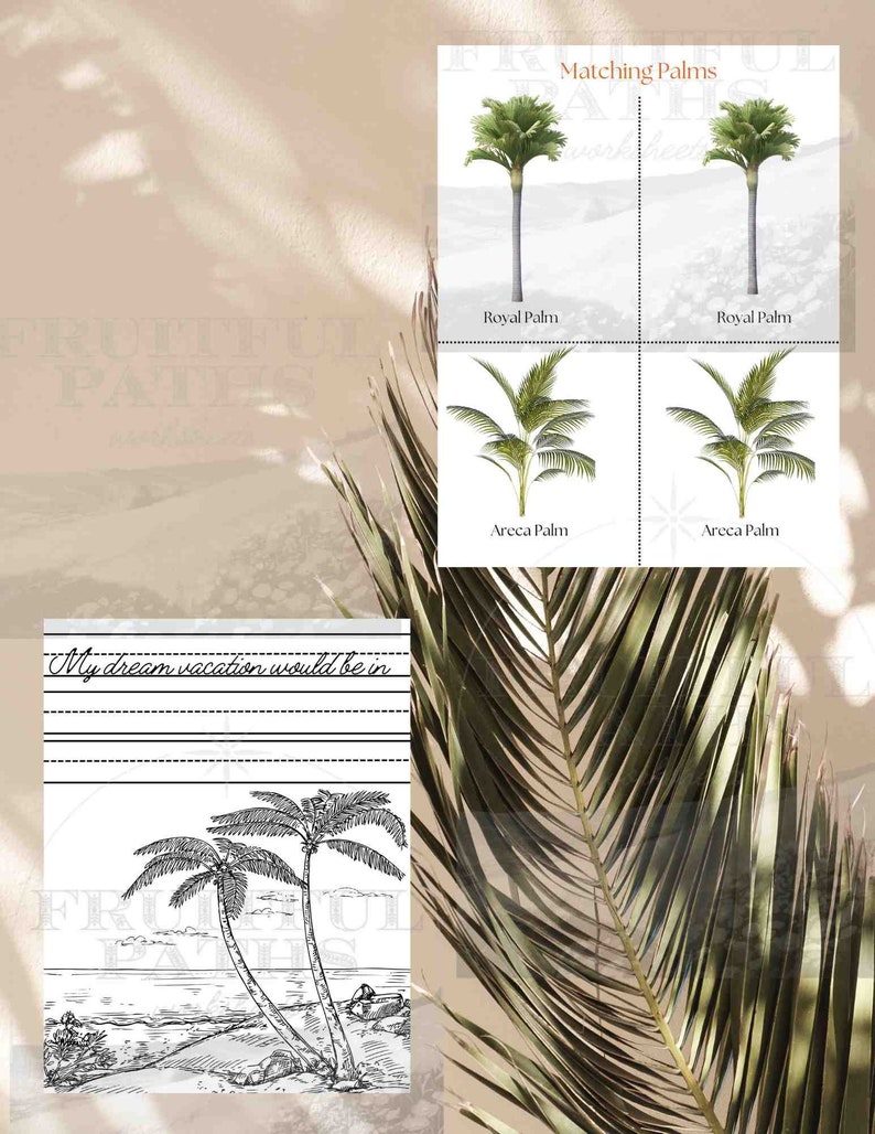 Parts of a Palm Tree, Summer Themed Worksheets, Montessori and ...