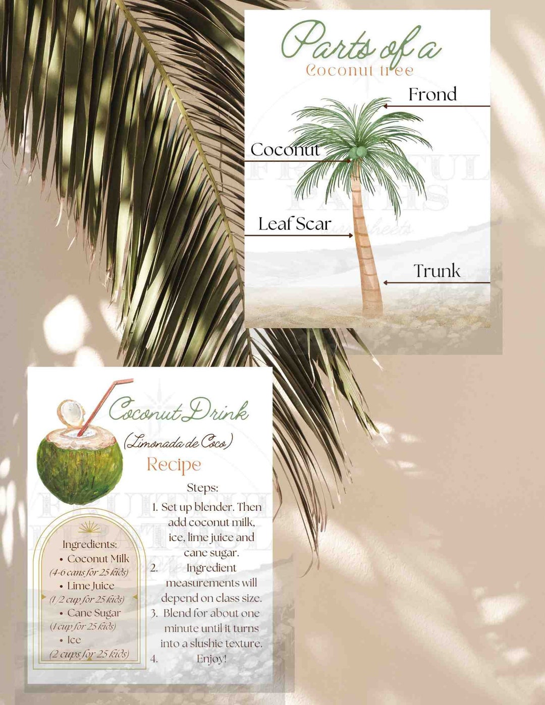 Parts of a Palm Tree, Summer Themed Worksheets, Montessori and ...