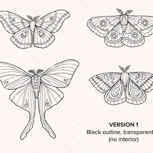 Butterfly Moth SVG Clipart, Hand-drawn, Moon Moth SVG, Butterfly ...