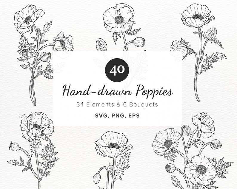 40 Hand-drawn Poppy SVG PNG Bundle Poppies Element & Bouquet - Etsy Canada