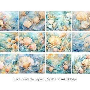 12 Beautiful Summer Sea Shells Digital Papers, Beach & Ocean Pattern ...