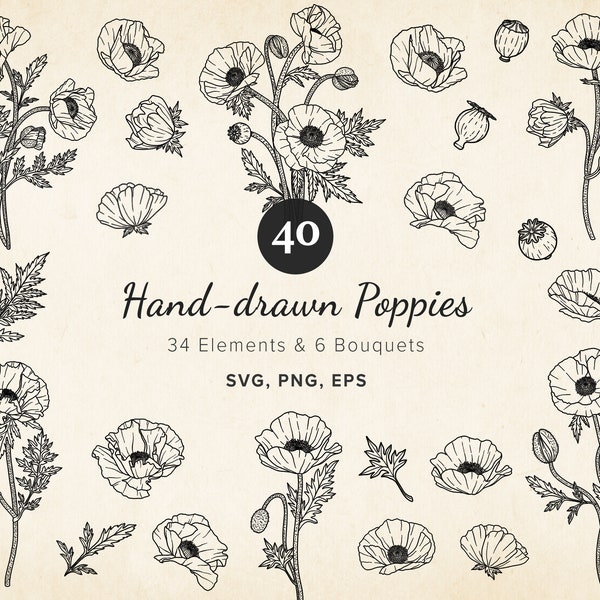 Poppy Line Art - Etsy
