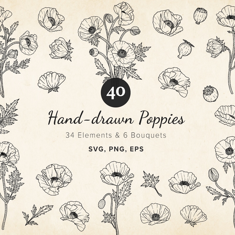 Poppy Line Art - Etsy