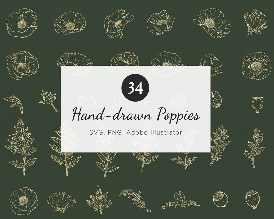 34 Hand-drawn Poppy SVG Elements PNG Poppies Vector Flower - Etsy