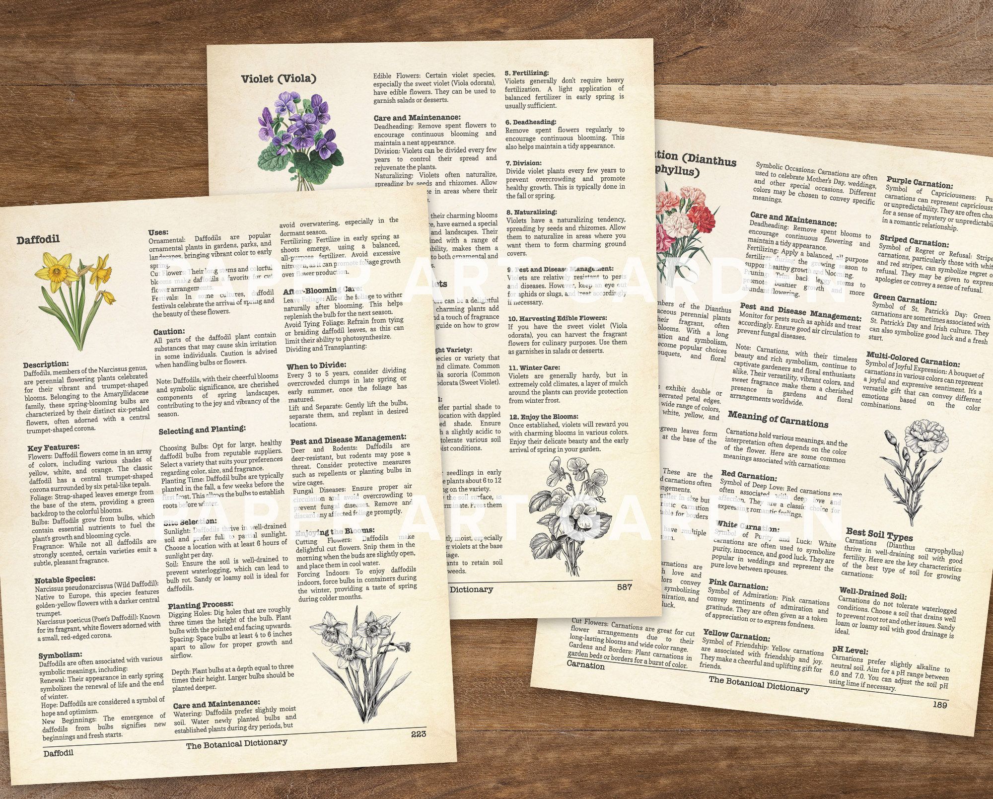 Printable Botanical Birth Flowers Dictionary Pages, Birth Month Flower ...